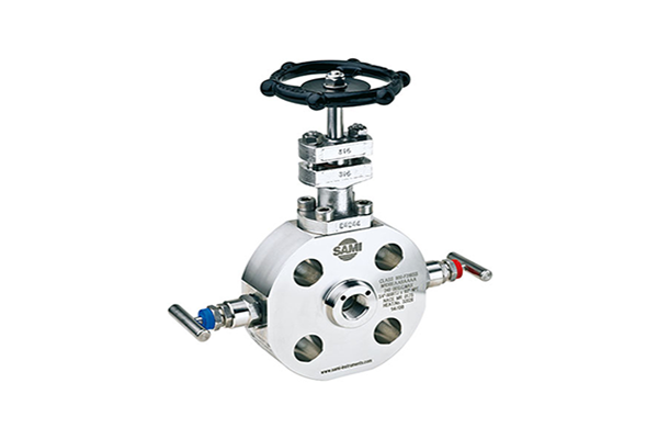 WIKA Monoflanges Valve – Turcomp