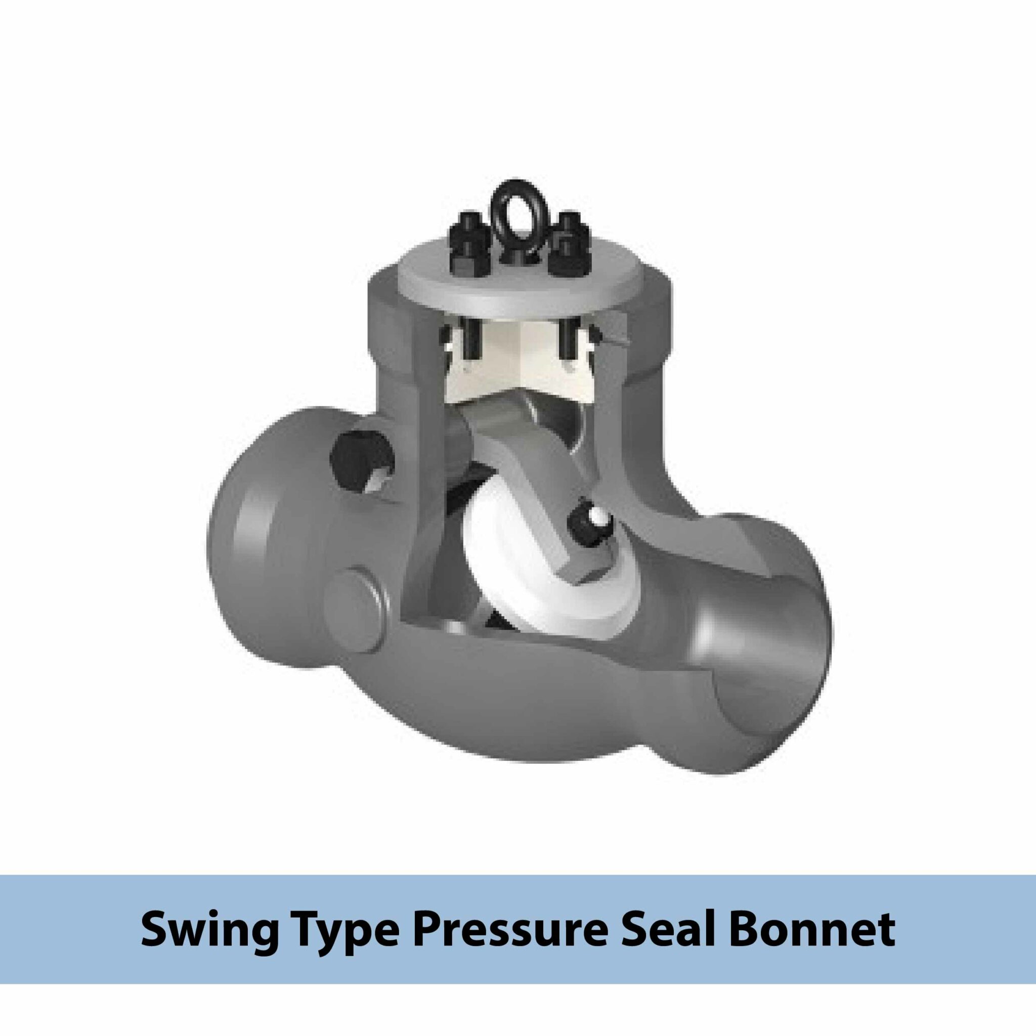 Check Valve – Turcomp